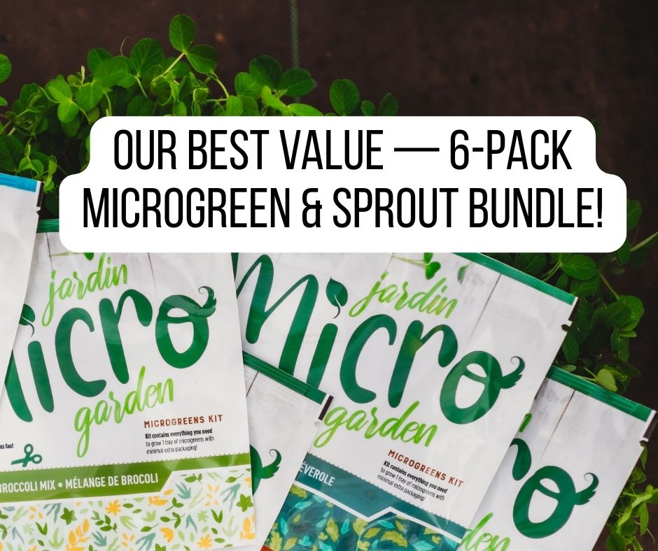Our Best Value — 6-Pack Microgreen & Sprout Bundle! PLUS FREE SHIPPING ...